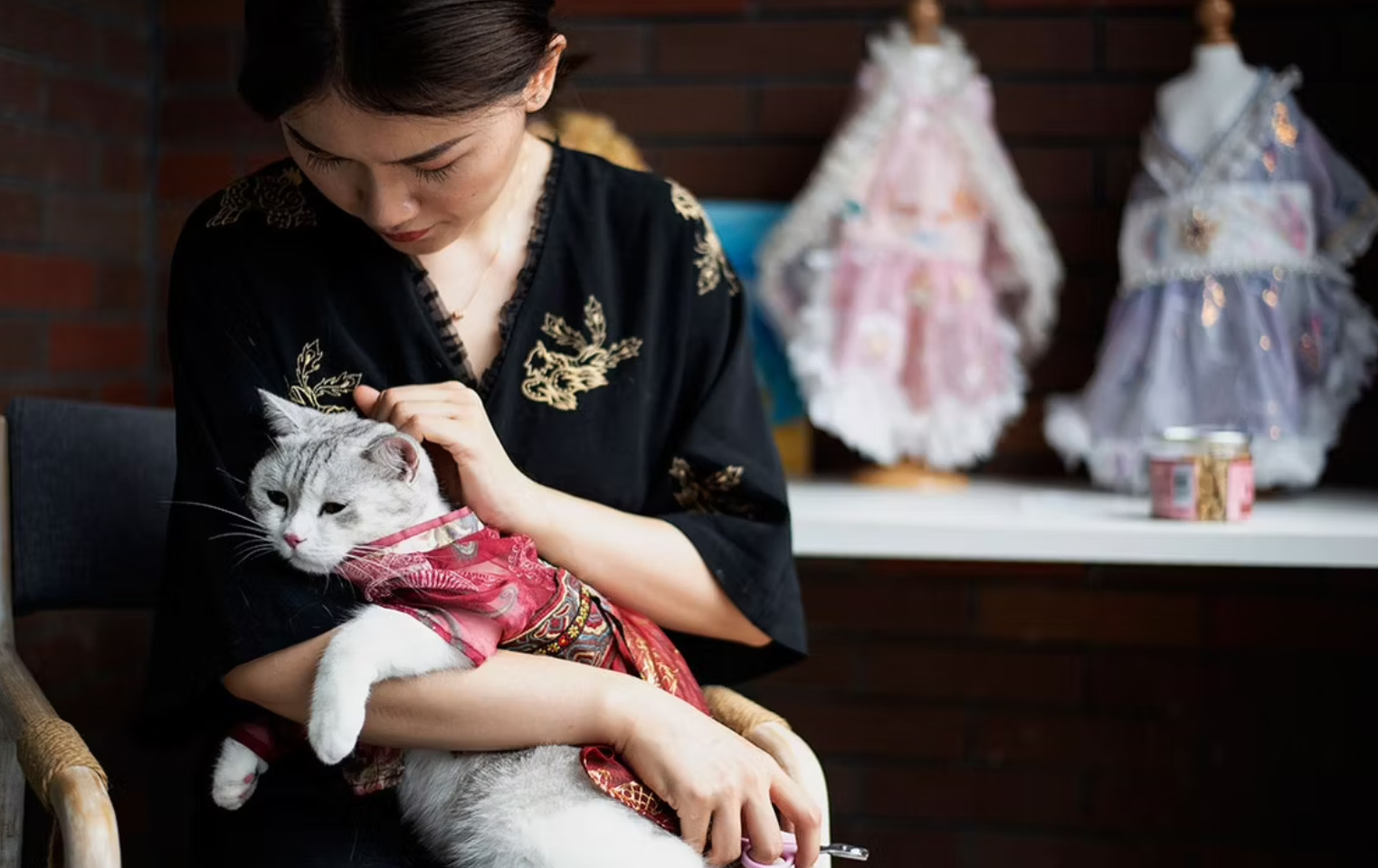 Animales de moda y dónde encontrarlos - Montenapo Daily