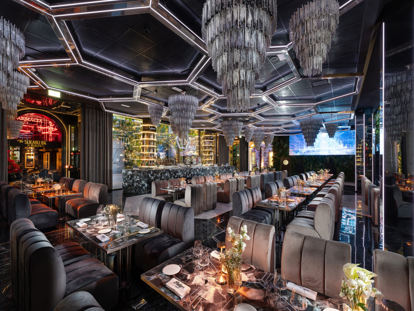 Philipp Plein scommette su Tirana: hotel, appartamenti e locali di ...