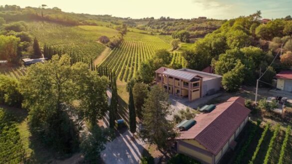 Michael Cioffi di Monteverdi Tuscany acquisisce Tenuta Valdipiatta ...
