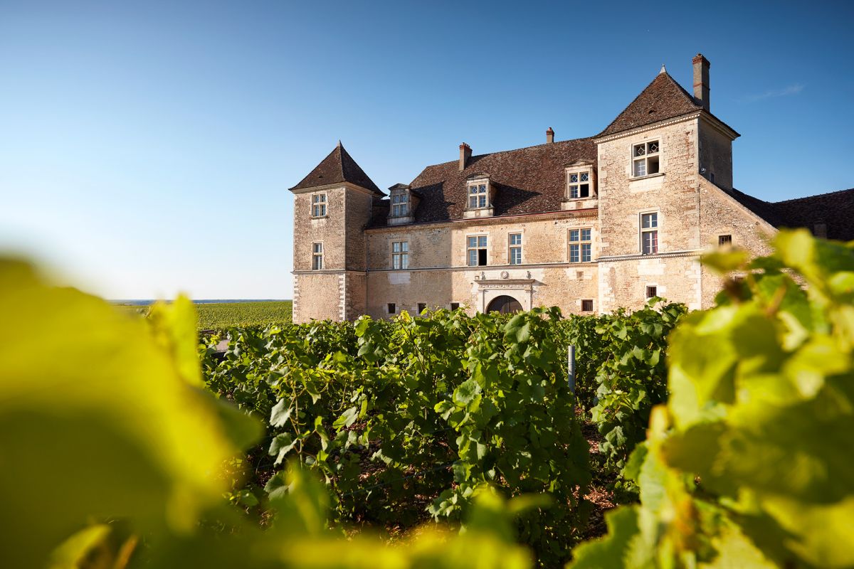 Allo Château du Clos de Vougeot si rinnova l’appuntamento con la 64ª ...